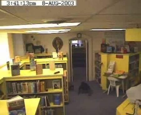 14 Spooky Ghosts Allegedly Captured On Camera