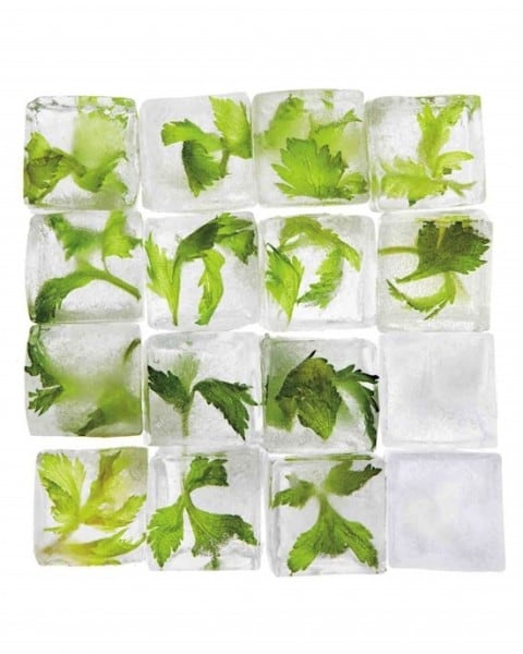 15 Creative And Totally Cool Ice Cubes To Help You Get Your Drink On In ...