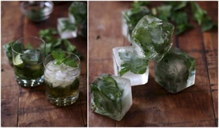 15 Creative And Totally Cool Ice Cubes To Help You Get Your Drink On In ...