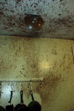 12 Disasters Showing Some People Should Be Banned From The Kitchen For Life