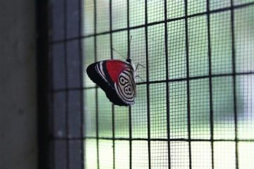 17 Random And Pretty Awesome Images From Around The Internet