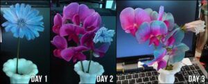 17 Random And Pretty Awesome Images From Around The Internet
