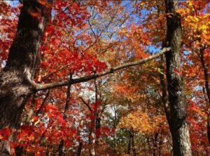 17 Random And Pretty Awesome Images From Around The Internet