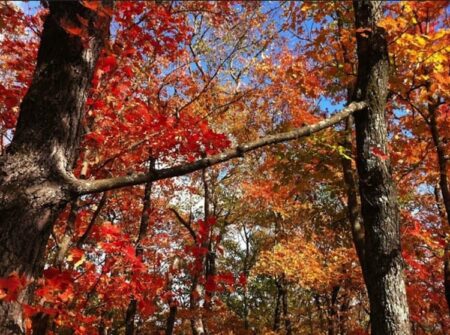 17 Random And Pretty Awesome Images From Around The Internet