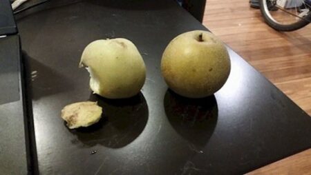 16 First World Problems That Are Hilarious