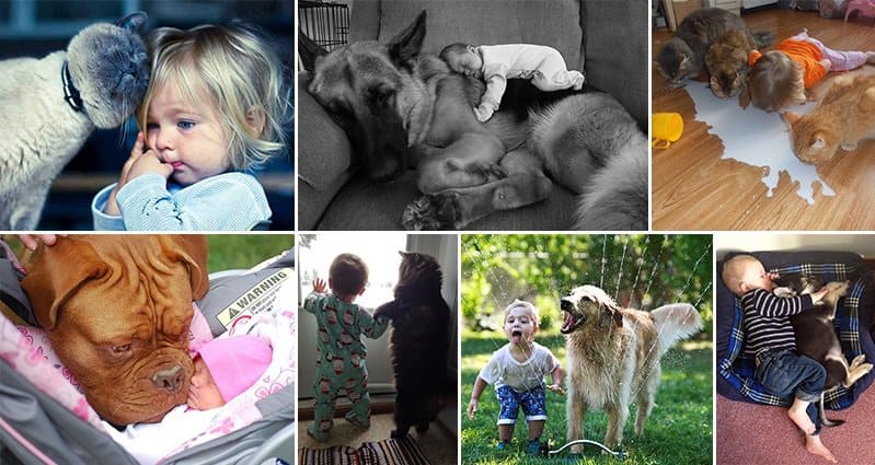 14 Adorable Photos That Prove Children Should Grow Up With Pets - Part 1