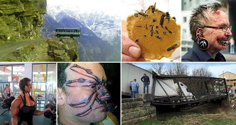 14 Crazy Images That You Just Won't Believe Are Real