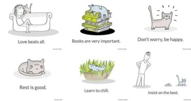 18 Important Life Lessons From Cats We Can All Learn From