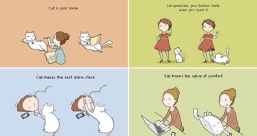 21 Accurate And Heartwarming Benefits Of Having A Cat