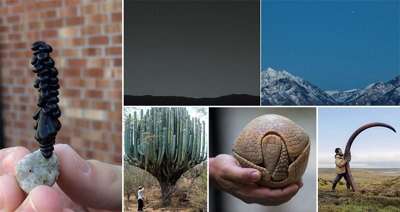 13 Of The Most Interesting And Unusual Photos Ever - Part 2