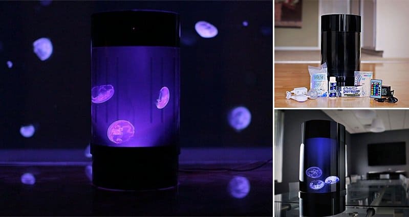 'Jellyfish Art' Allows You To Keep Your Own Pet Jellyfish At Home
