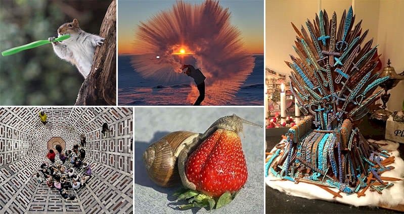 13 Random And Awesome Photos That You Don't See Everyday