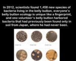 32 Scary Facts About Our World That You Probably Didn't Want To Know