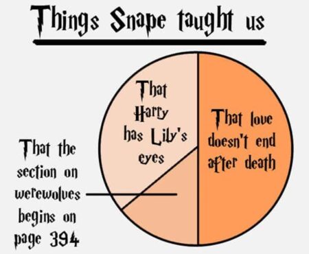 14 Awesome Charts Only True 'Harry Potter' Fans Will Understand
