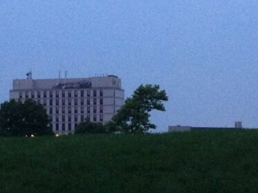 14 Things That Look Like Something Else At A First Glance