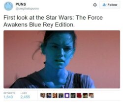 12 Absurd And Hilarious Tweets From The Twittersphere