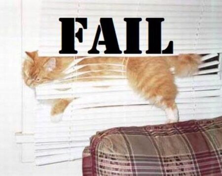 16 Cats Who Immediately Regretted Their Decisions In These Hilarious Fails