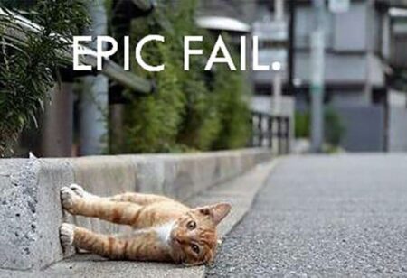 16 Cats Who Immediately Regretted Their Decisions In These Hilarious Fails