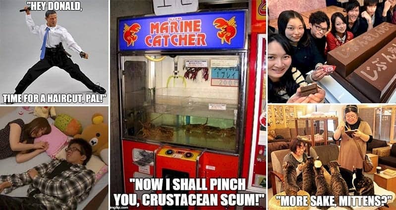 15 Strange And Awesome Things In Japan