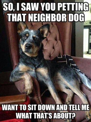 14 Hilarious And Adorable Dog Memes Guaranteed To Put You In A Good ...