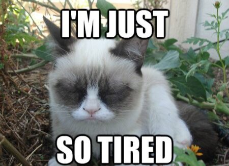 13 Accurate Memes About Being Tired That We Can All Relate To