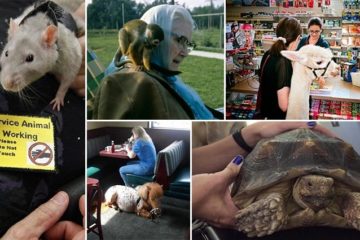 19 Secret Starbucks Orders You Never Knew Existed