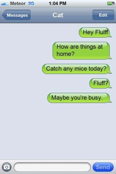 12 Things You'll Only Understand If You Really Love Cats