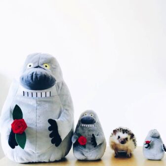 These Adorable Images Of Super-Cute Pet Hedgehogs Will Melt Your Heart