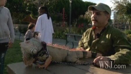 10 Of The Most Awesome But Unusual Service Animals