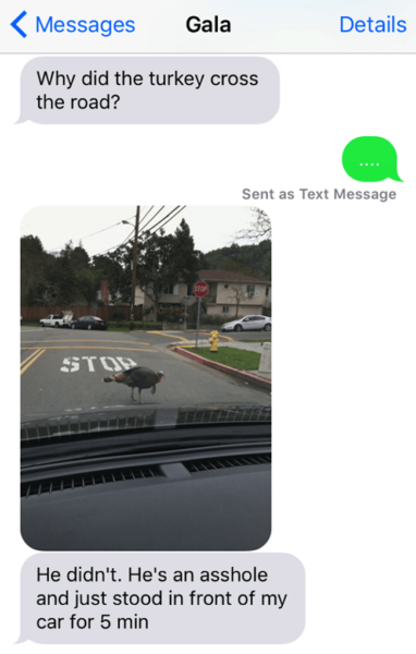 13 Random And Hilarious Text Message Conversations