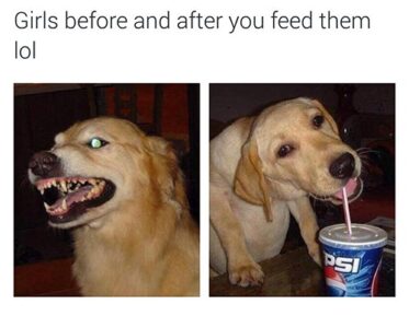 13 Hilarious Images Showing Random Moments We All Experience In Life ...