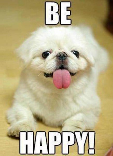 13 Adorable Images Of Puppies That Will Improve Your Mood - Part 2