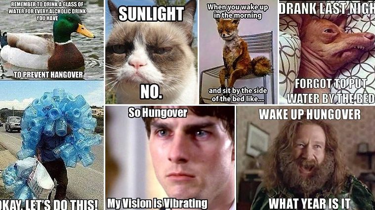 14 Hilariously Accurate Images That Those Who Experience Hangovers Will ...