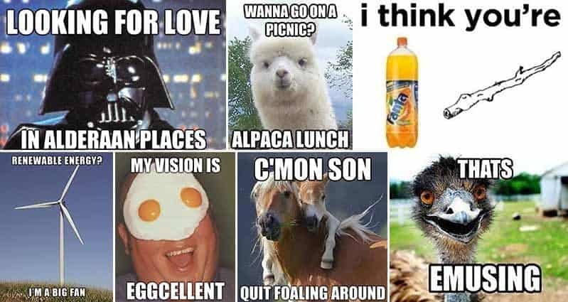 13 Hilarious Pun-Filled Images To Brighten Up Your Day - Part 3