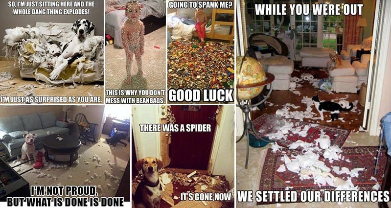 14 Hilarious Mess-Filled Images Caused By Mischievous Kids And Animals ...