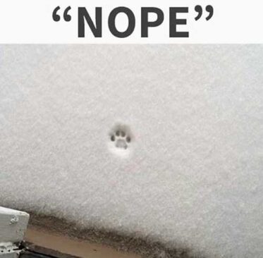 17 Amusing Images For Those Who Love Snow
