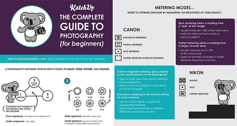This Awesome Photography Guide Is A Must-See For Beginners