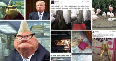 14 Photos That Are Far More Funny Than They Should Be