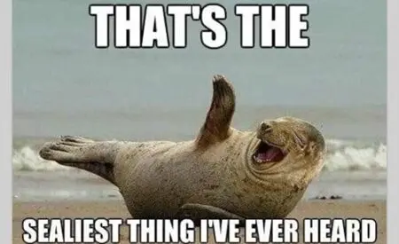 Hilarious Pun-Filled Images To Brighten Up Your Day - Part 1