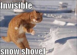 17 Amusing Images For Those Who Love Snow