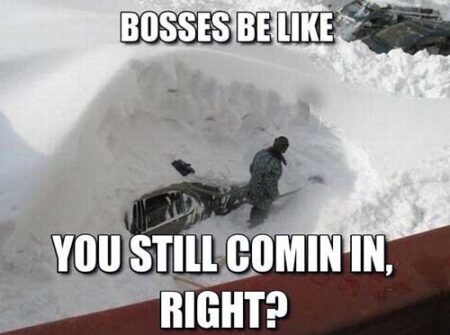 17 Amusing Images For Those Who Love Snow