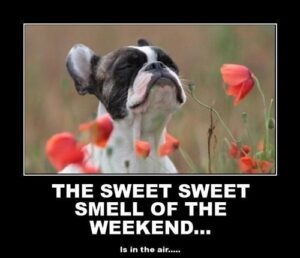 13 Amusing Images Showing How We Feel About The Weekend - Part 1