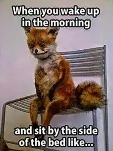 14 Hilariously Accurate Images That Those Who Experience Hangovers Will ...
