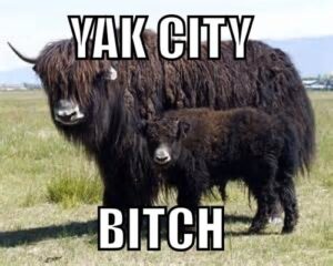 Hilarious Pun-Filled Images To Brighten Up Your Day - Part 1