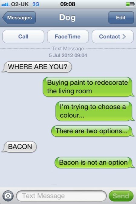 16 Of The Most Hilarious 'Texts From Dog' - Part 1
