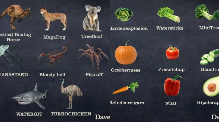 8 Funny Images Giving Better Names To Foods, Animals And More