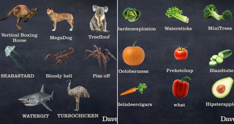 8 Funny Images Giving Better Names To Foods, Animals And More