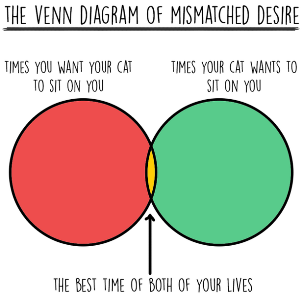 14 Hilarious Charts All Cat Owners Will Understand