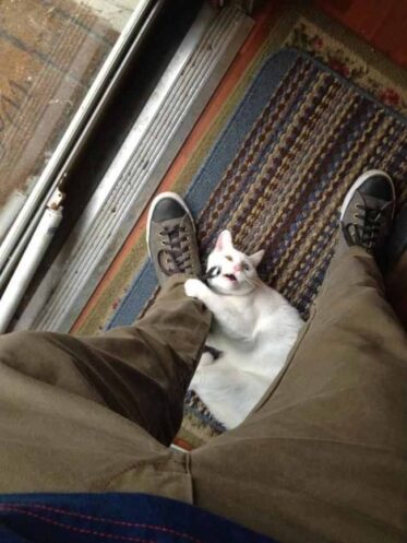 15 Images Of Clingy Pets That Can't Bear To See Their Owners Leave