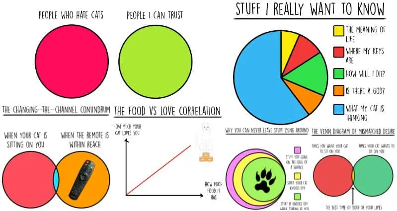 14 Hilarious Charts All Cat Owners Will Understand